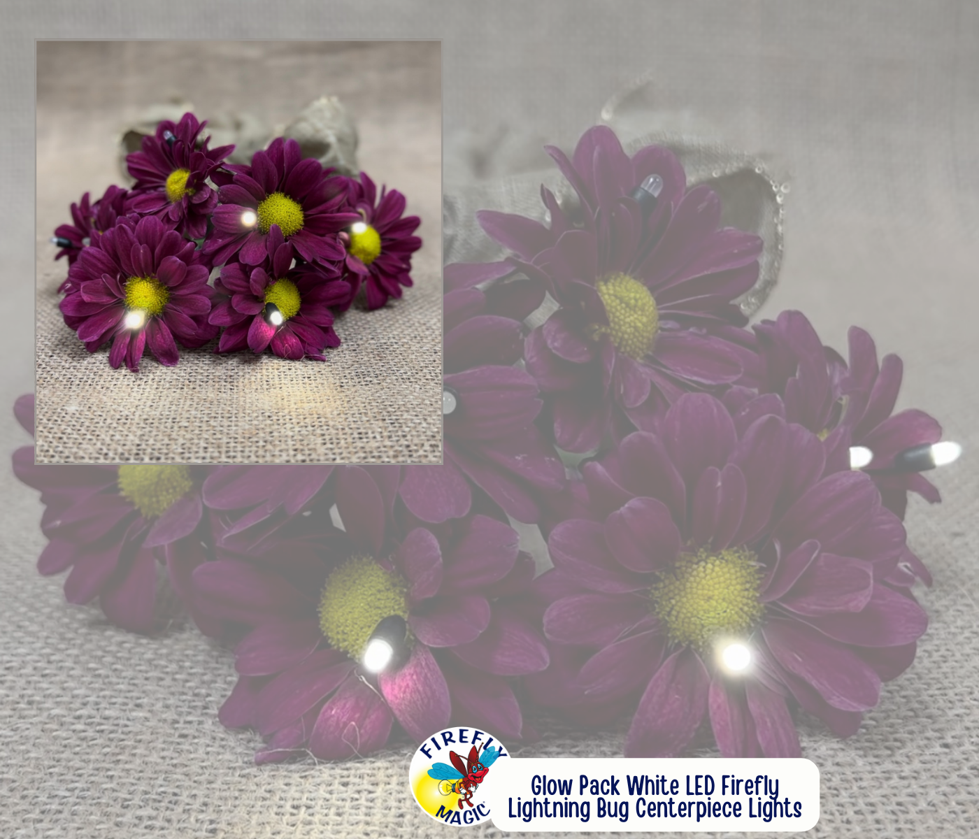 Battery Operated LED Fairy Lights | Firefly Indoor Lights | Firefly Magic